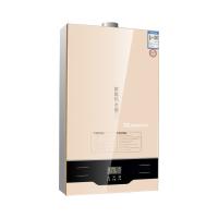 China Tankless Instant Gas Water Heater Portable LPG Delicate Appearance for House Heating for sale