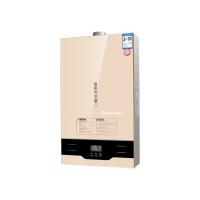 China Tankless Instant Gas Water Heater Portable LPG Delicate Appearance for House Heating for sale