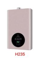 China Car Gas Water Heater 8L/10L/12L/16L LPG/LNG Instant Tankless Propane for House Heating for sale