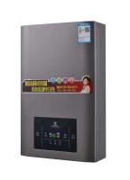 China Car Gas Water Heater 8L/10L/12L/16L LPG/LNG Instant Tankless Propane for House Heating for sale
