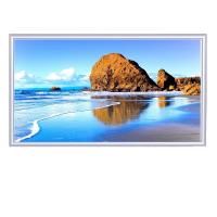 China 500W Infrared Electric Wall Mounted Heating Panel for Home Eco-Friendly Heating Solution for sale