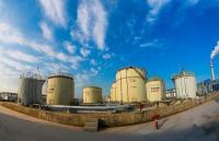 China Polyvinylidene PVDF Resin / Granule Lining For Pump , RoHS Reach Listed for sale