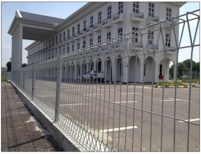 China ARC Banksia Galvanized Metal Fence Panels , Heavy Gauge Welded Wire Fence Weldmesh Roll Top for sale