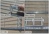 China Arc Garden Wire Mesh Fence Panels Round / Square Post Roll Top Easily Assembled for sale