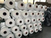 China Polyester Virgin Yarn DTY 300d/96f SD Raw White Nim Him for sale