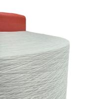 China Factory Direct Sale 100% Polyester DTY Yarn 300d/96f RW Him AA for sale