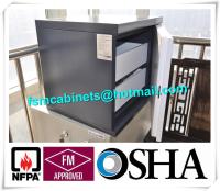China Metal Fire Resistant File Cabinet For Anti Magnetic , Magnetic Proof Safety Cabinets for sale