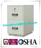 China Waterproof Fire Resistant File Cabinets , Fire Safe File Cabinet With 2 Drawer for sale