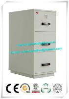 China Magnetic / Humid Proof Industrial Safety Cabinets 2 Drawer for Government for sale