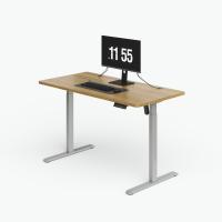 China Customization Home Office Electric Standing Desk With Cable Storage for sale