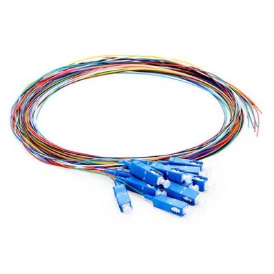 China SC UPC 12 Fibers G.652.D Single Mode Color-Coded Fiber Optic Patch Cord (FOPT) for High-Performance Networking for sale