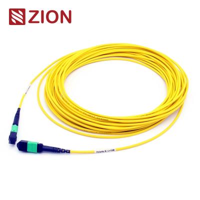 China 24 Fibers MTP Patch Cord Singlemode LSZH Female To Female 3.0mm Custom Meters for sale