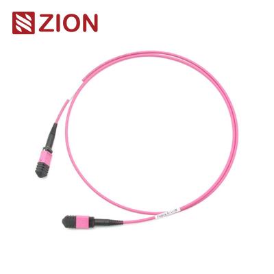 China 24 Fibers OM4 LSZH MPO Patch Cord Custom Meters for High-Density Data Centers for sale