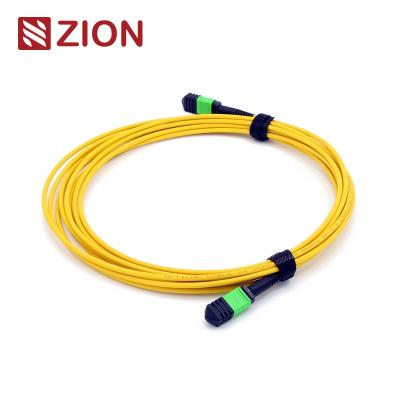 China 12 Fibers MPO Fiber Optic Patch Cord with 3.0mm LSZH Jacket for Singlemode Applications for sale