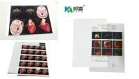 China Medical Dry Film 204±8 μm Thickness High Durability UV Resistance for X-Ray Imaging for sale