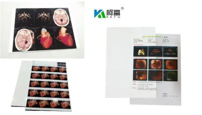 China Medical Dry Film 204±8 μm Thickness High Durability UV Resistance for X-Ray Imaging for sale