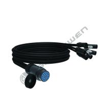 China 6 Head Socapex Style Breakout Cable Assembly SOCAPEX Industrial Application IP67 Waterproof 19-Pin Powercon True1 Male Connectors for sale