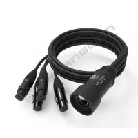 China 4 Channel PVC Jacket XLR Female Male Connectors to Cat5 Cat6 DMX RJ45 DMX512 Snake Audio Cable for Professional Audio for sale