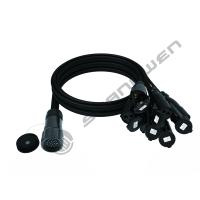 China 19-Pin Socapex Extension Cable with 6-Way Breakout 16A Power Cable for Stage Lights LED Moving Head Assembly Connectors for sale