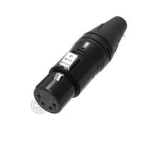 China IP40 Indoor Audio Video Cable Connector XLR 4 Pin Female Socket with Solder Adapter and Jack Lead for sale