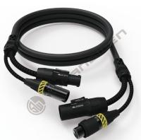 China TRUE1 2-in-1 XLR Female and Male Powercon Hybrid Cable 3-Pin DMX Combi Black XLR3 Split Communication Cables for sale