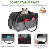China Airline Approved Breathable Mesh Custom Travel Backpack Puppy Cat Dog Travel Pet Bag for sale