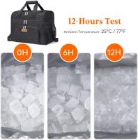 China Large capacity Vans Custom Insulated Cooler Bag Picnic Soft Lightweight with Shoulder Strap for sale