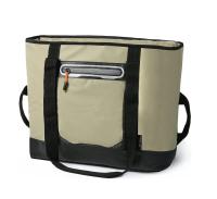 China Insulated Polyester Cooler Bag Camping Lunch Aluminium Foil 30 Can Backpack for sale