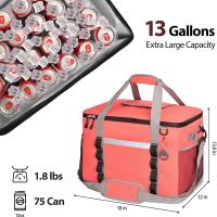China Leak Proof Insulated Cooler Bag Soft Sided No Leak Backpack Cooler 75 Can for sale