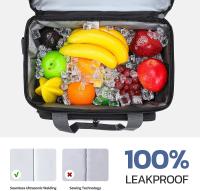 China Double Decker Cooler Bag For Frozen Food Collapsible Insulated Cooler 27L for sale