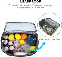 China Cute Insulated Cooler Tote Bag Beach Beverage Sport Camping Freezer 15X10X10