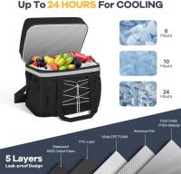 China 40L Portable Waterproof Insulated Cooler Bag Dual Compartments For Beach Camping Picnic for sale