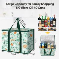China Reusable Grocery Custom Travel Cooler Bag Heavy Duty Large Collapsible Insulated for sale