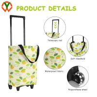 China 2 In 1 Durable Foldable Shopping Bag With Wheels Reusable Grocery For Shopping for sale