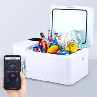China Compressor Type Food Medicine 16L Car Mounted Refrigerator for sale