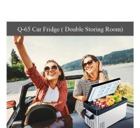 China 60L Compressor Car Freezer AC220V DC12V 24V Portable Refrigerator -20C Dual Zone for sale