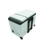China Trolley Type 30L Cooling Freezing Car Mounted Freezer for sale
