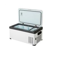 China PAHS Camping 20L Dual Room Low Noise Car Refrigerator for sale
