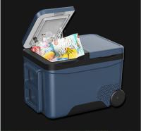 China Trolley Dual Room Car Mounted Refrigerator 35L DC12V Car Freezer with German Compressor for sale