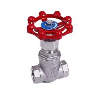 China WG-01T-Gate valve for sale