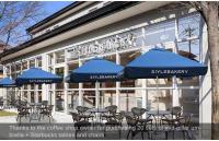China Aluminum Beach Sun Parasol With Large Size And Sturdy Pole For Durable Outdoor for sale