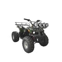 China Battery Powered Beach Buggy Fairground For Driving / 1-2 Player Beach Vehicle for sale