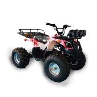 China Steel Material Riding Beach Vehicle For Public Games Center Charging Time 4-6h for sale