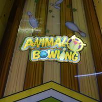 China Bowling Lane Simulator Games Redemption Arcade Machines For Playground for sale