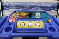 China Coin Operated Redemption Snow Game Machine Ski Simulator for sale
