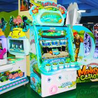 China Amusement Hitting Lottery Arcade Game Machine for sale