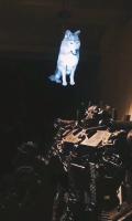 China Commercial Small LED Hologram Fan Digital Hologram Projector 224PCS LED Qty for sale