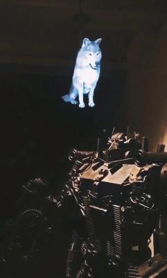 China Commercial Small LED Hologram Fan Digital Hologram Projector 224PCS LED Qty for sale