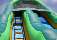 China PVC Tarpaulin Kids Inflatable Water Slide Double Lanes Design Easy Maintain for sale