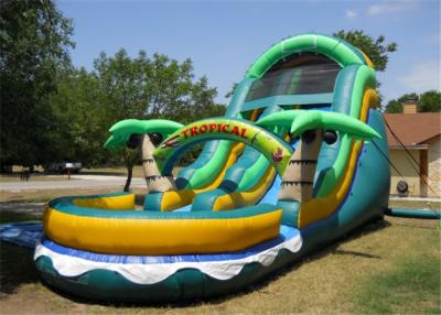 China PVC Tarpaulin Kids Inflatable Water Slide Double Lanes Design Easy Maintain for sale
